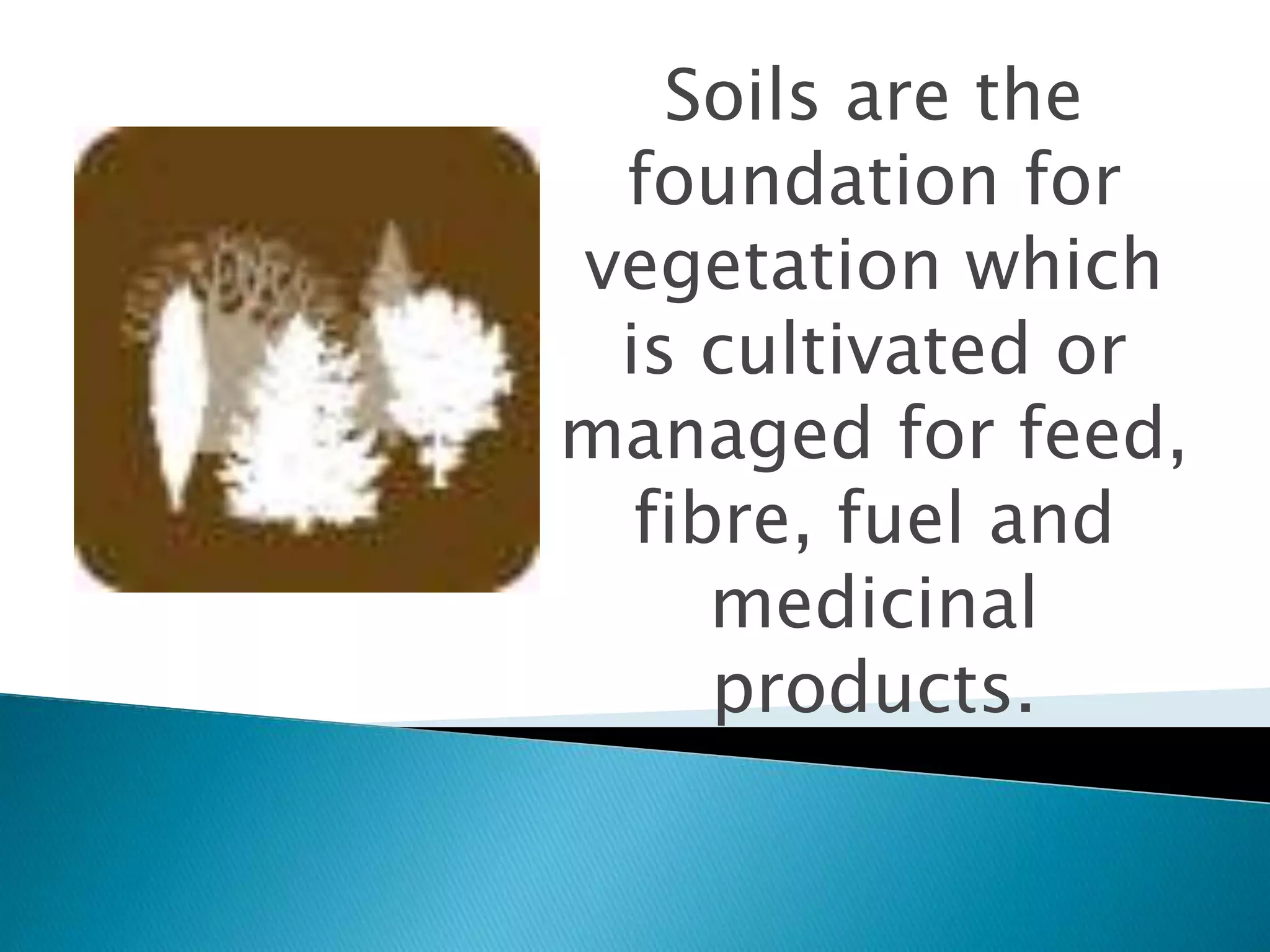 Soil presentation 2 | PPTX