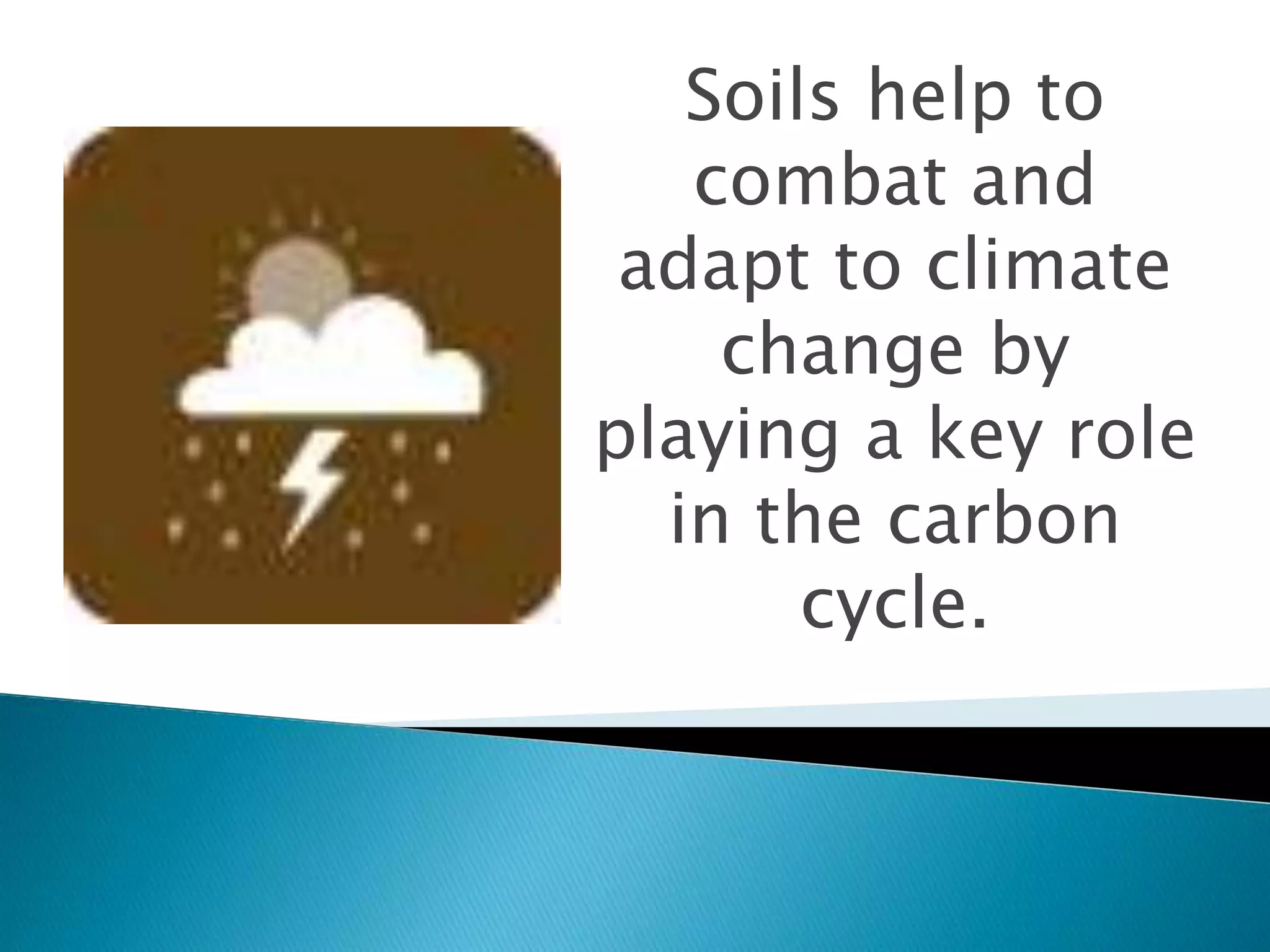 Soil presentation 2 | PPTX