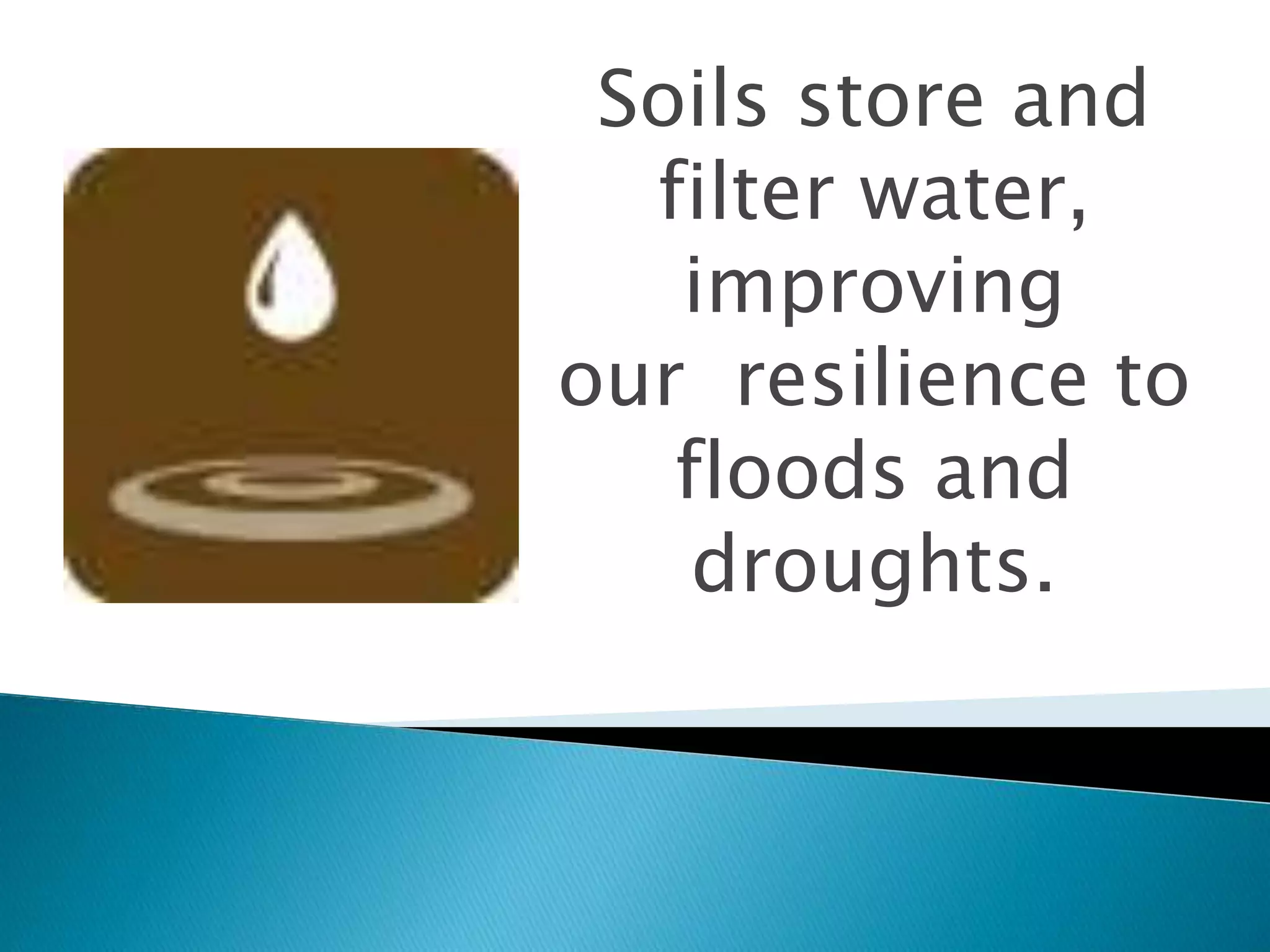 Soil presentation 2 | PPTX