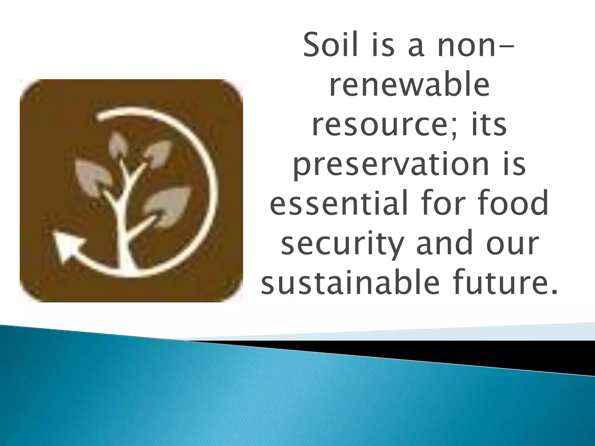Soil presentation 2 | PPTX