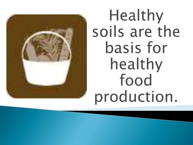 Soil presentation 2 | PPTX