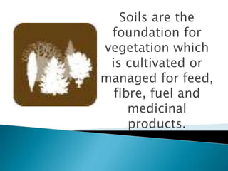 Soil presentation 2 | PPTX