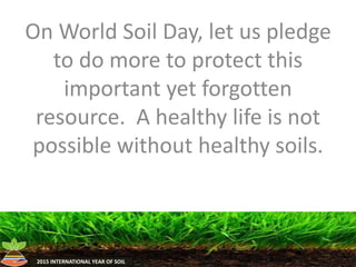 Soil presentation 2 (2) | PPT