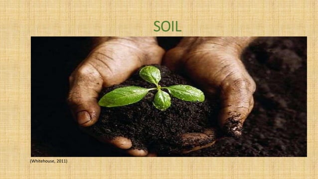 SOIL PROCESSES AND SOIL ERSOION | PPT