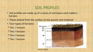SOIL PROCESSES AND SOIL ERSOION | PDF