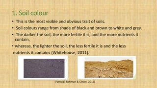 SOIL PROCESSES AND SOIL ERSOION | PDF