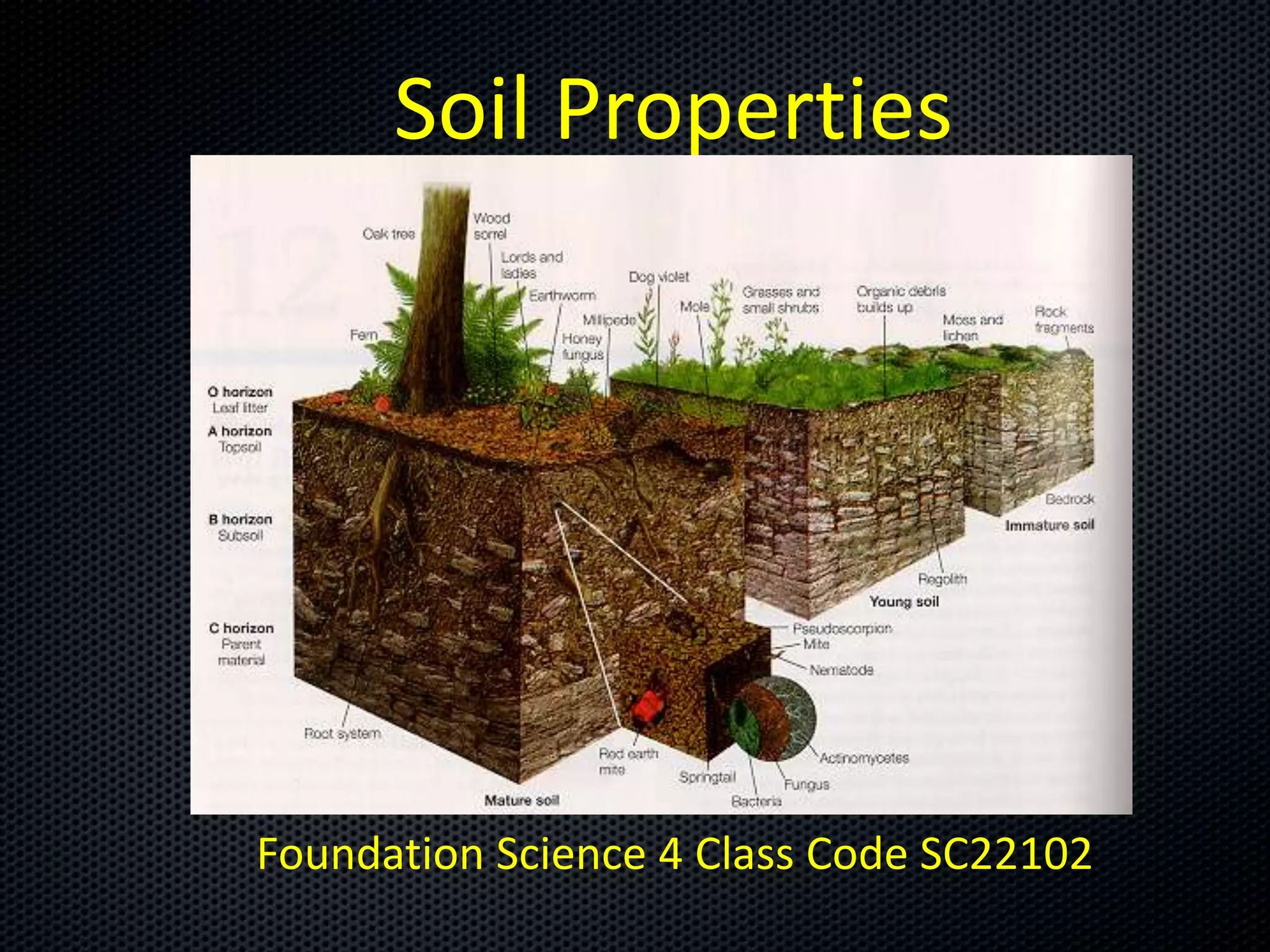 Soil Presentation | PPTX