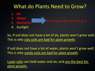 Soil Presentation | PPTX