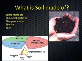Soil Presentation | PPTX