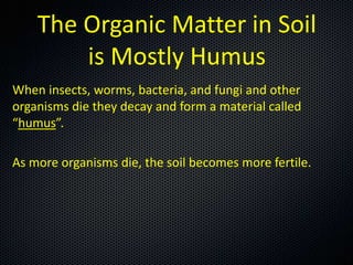 Soil Presentation | PPTX