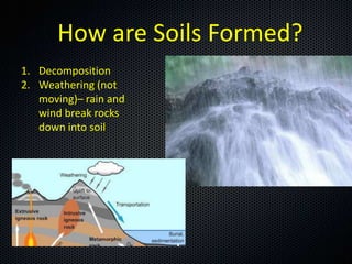 Soil Presentation | PPTX