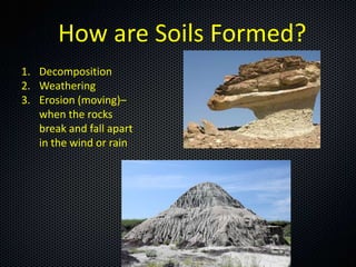 Soil Presentation | PPTX