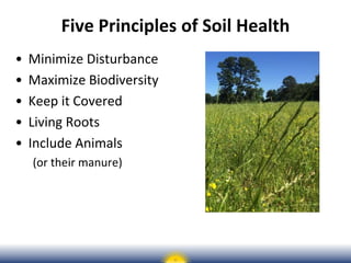 SSAWG 2020 - Regenerating Soils Using the Five Principles of Soil ...