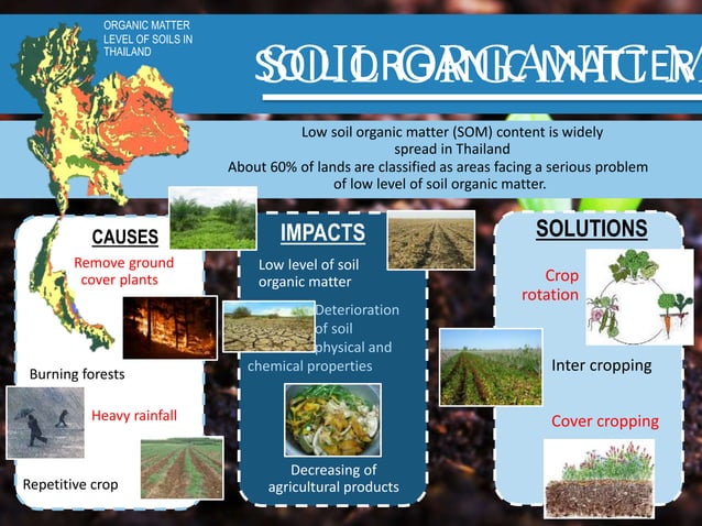 Soil problems | PPT