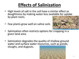 Environmental problems in pakistan | PPT