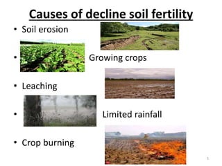 Environmental problems in pakistan | PPTX
