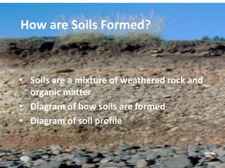 Soil processes and patterns in the tvc | PPTX