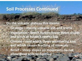 Soil processes and patterns in the tvc | PPTX