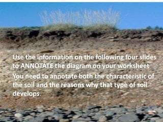 Soil processes and patterns in the tvc | PPTX