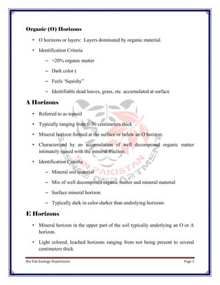 Soil profile | PDF