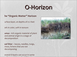 Soil profile | PPT