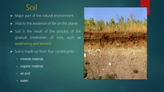 Soil Profile