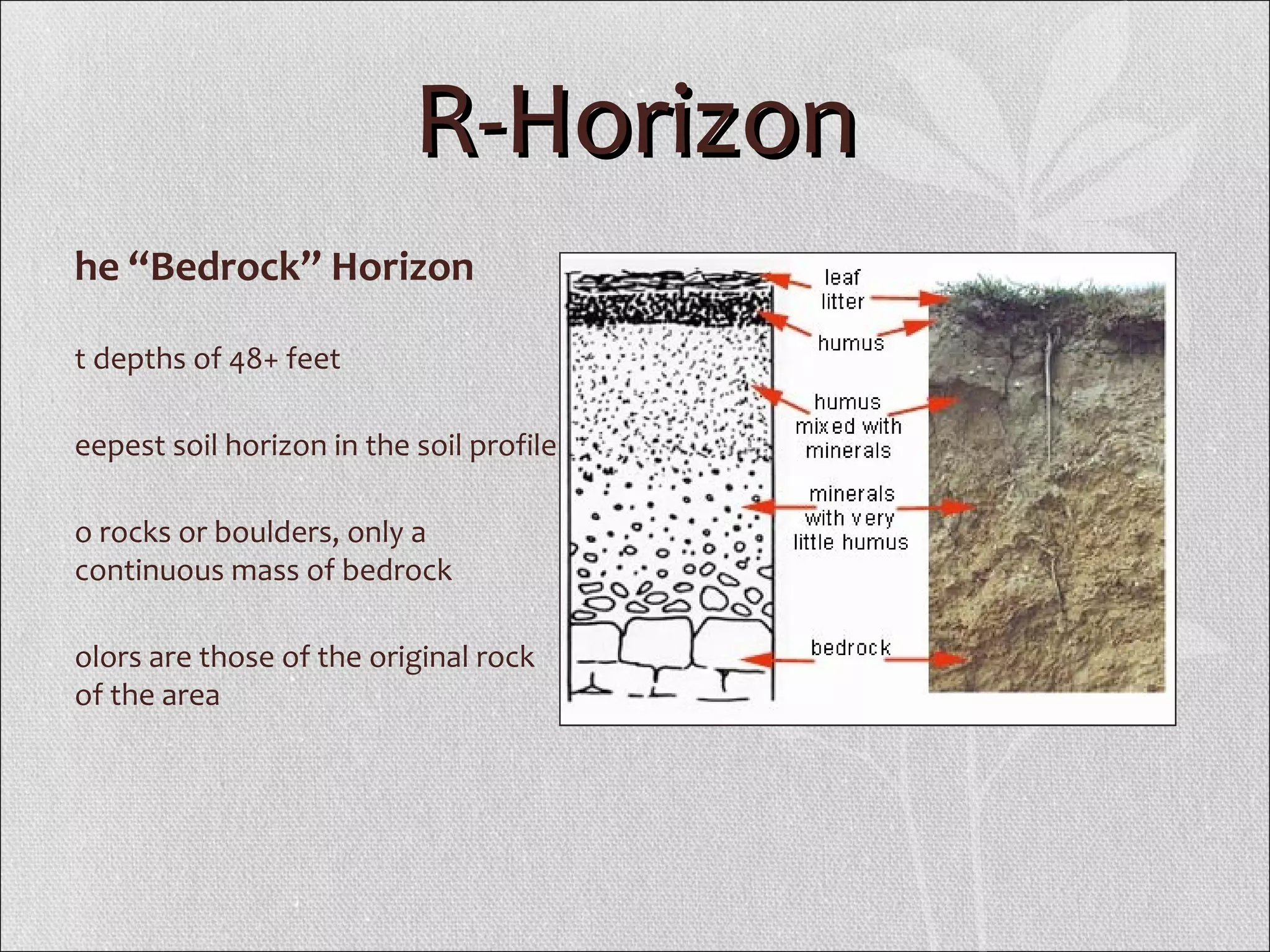 Soil profile | PPT