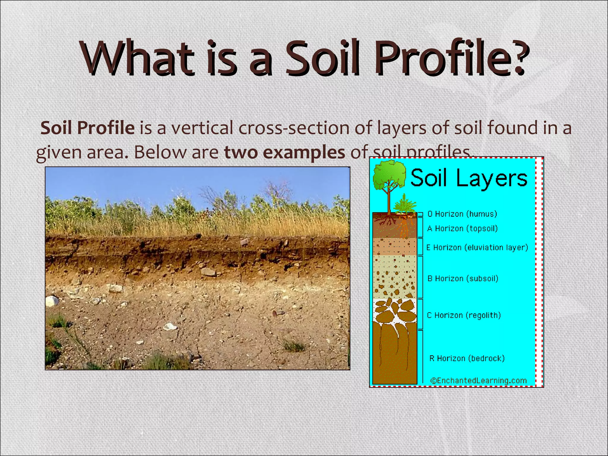 Soil profile | PPT