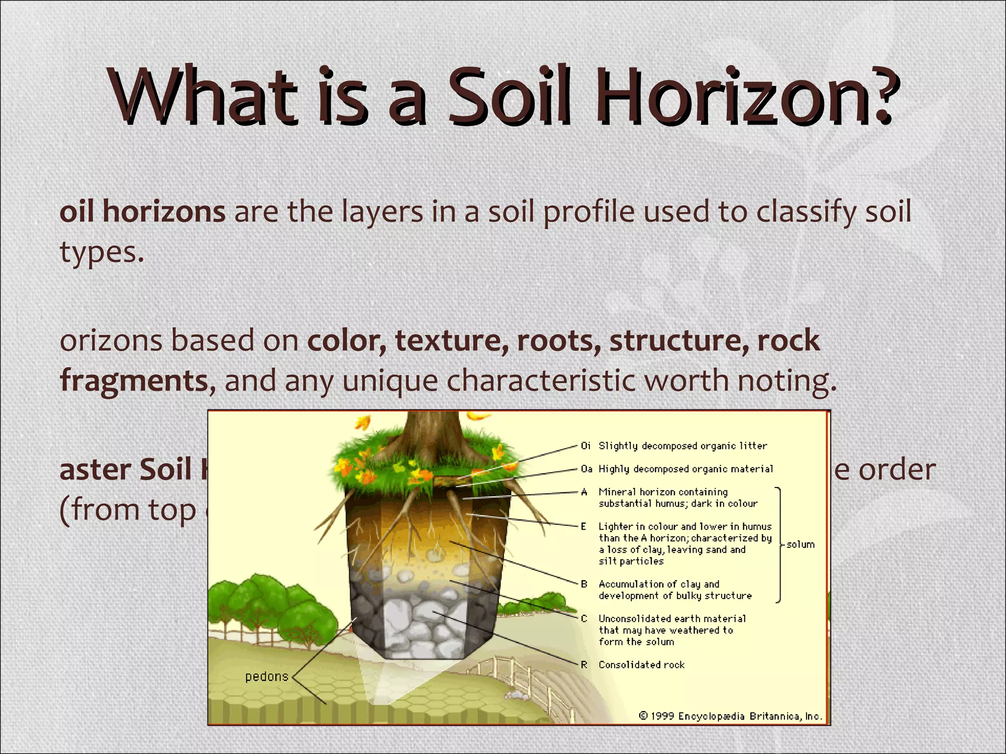 Soil profile | PPT