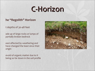 Soil profile | PPT