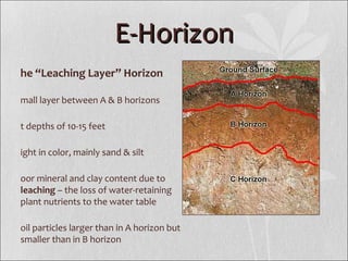 Soil profile | PPT