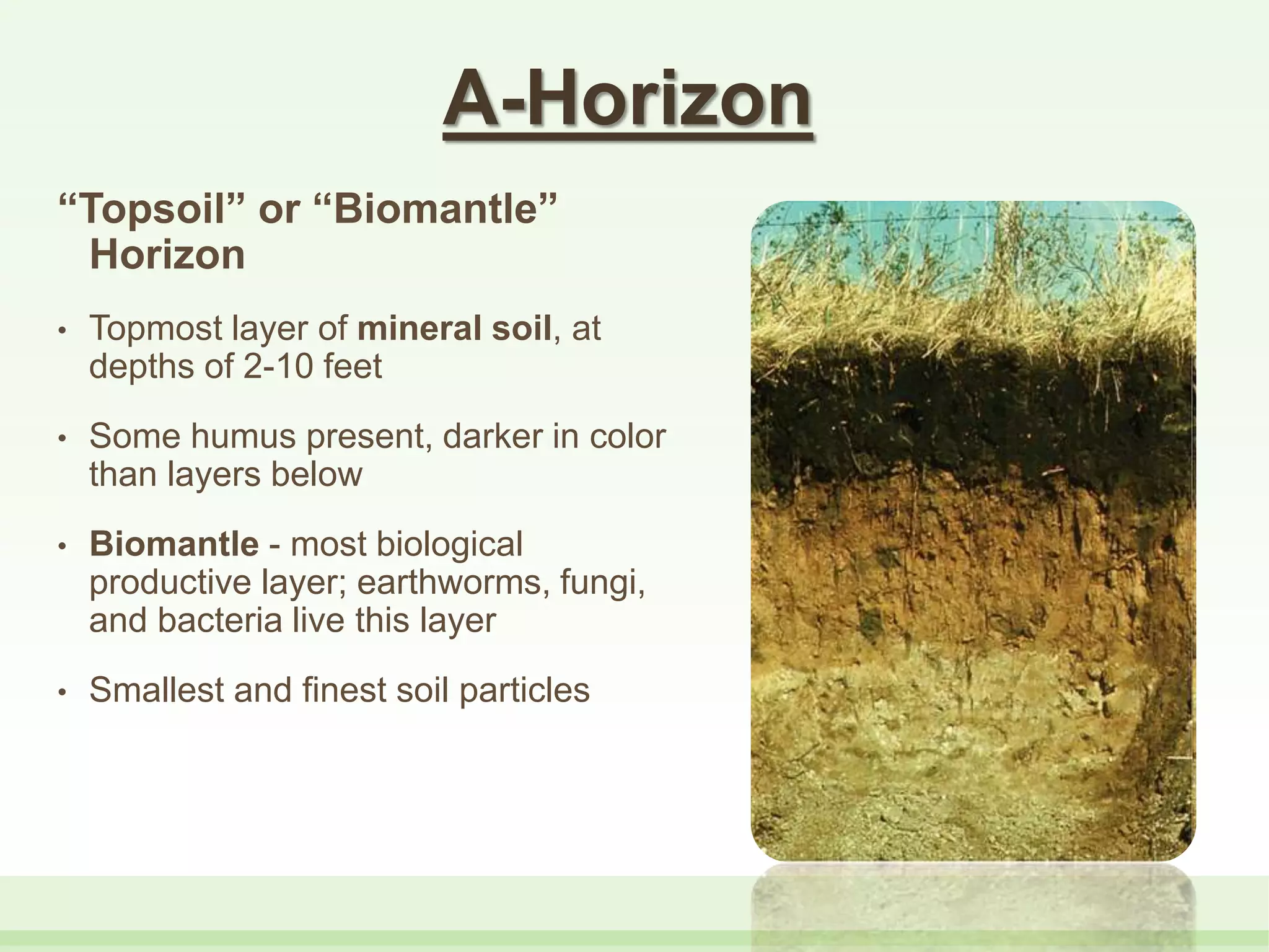 Soil profile | PPTX