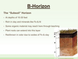 Soil profile | PPTX