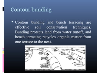 Soil profile and conservation | PPT