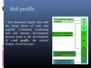 Soil profile and conservation | PPT