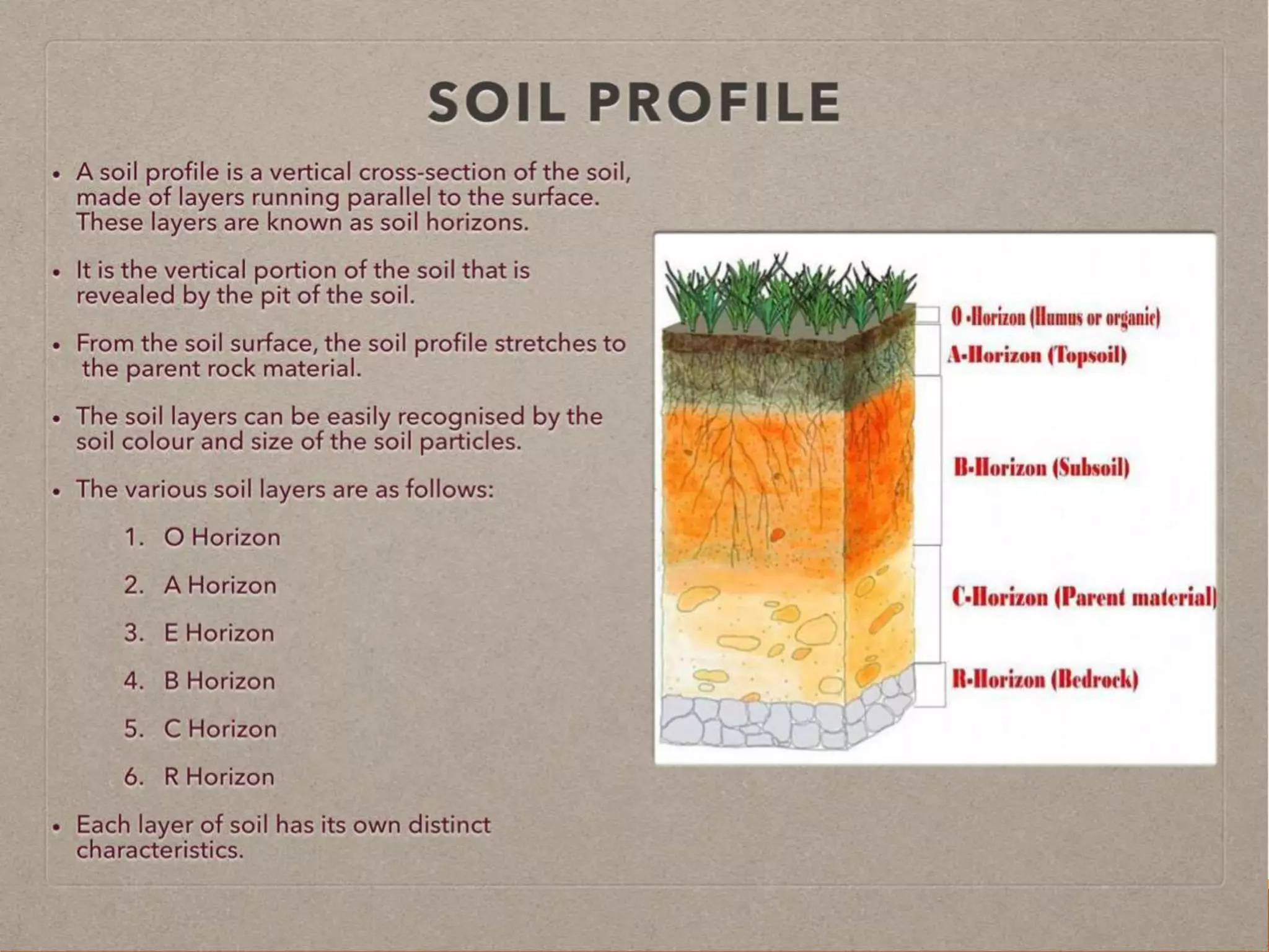 Soil profile and formation of soil | PPTX