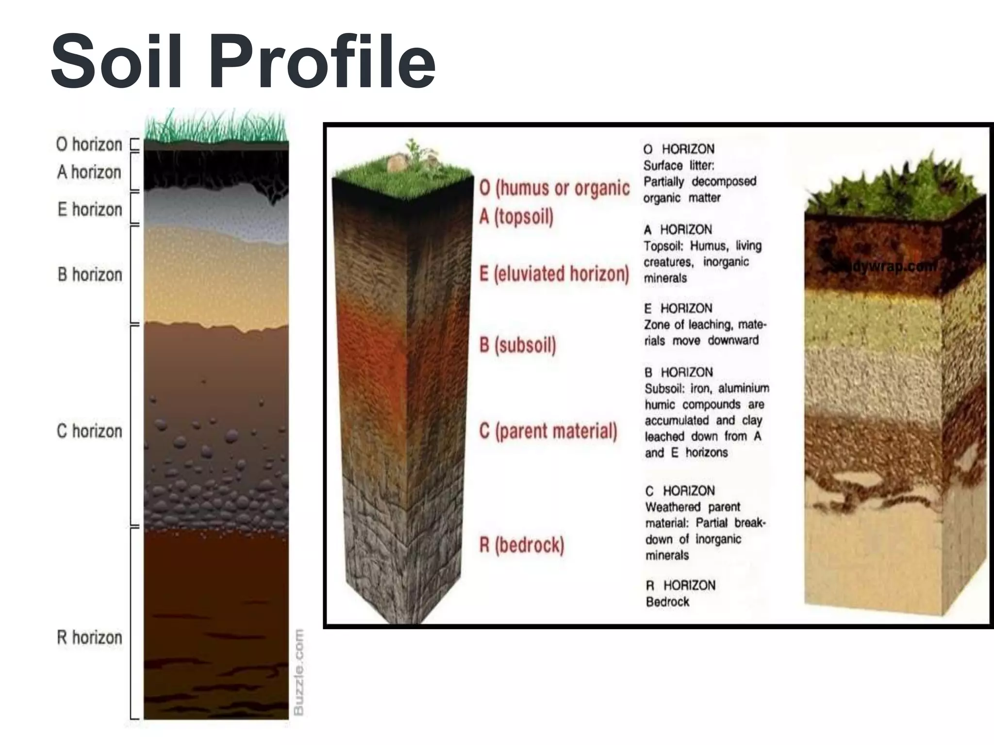 Soil profile and soil physical properties anand corrected | PPTX