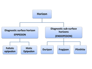 Soil profile and soil physical properties anand corrected | PPTX