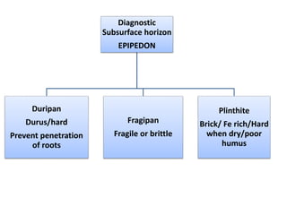 Soil profile and soil physical properties anand corrected | PPTX