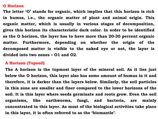 Soil profile and soil physical properties anand corrected | PPTX