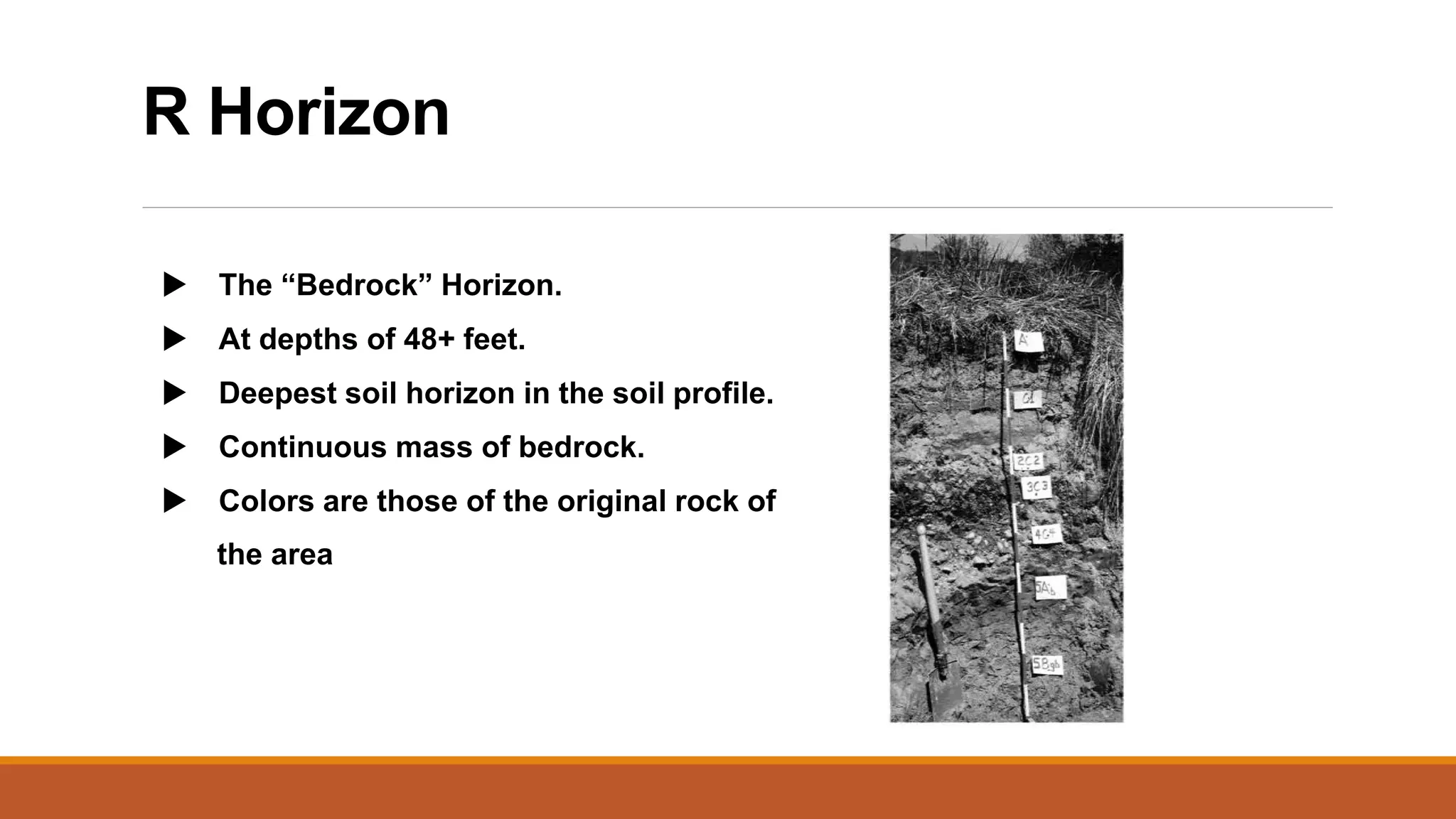 Soil profile & horizonation | PPTX