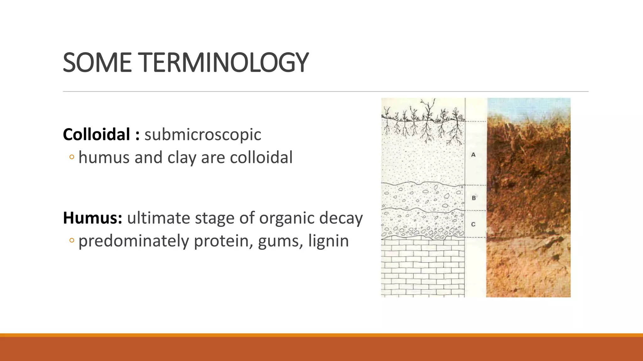 Soil profile & horizonation | PPTX