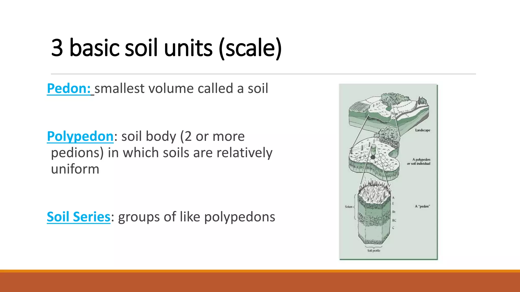 Soil profile & horizonation | PPTX