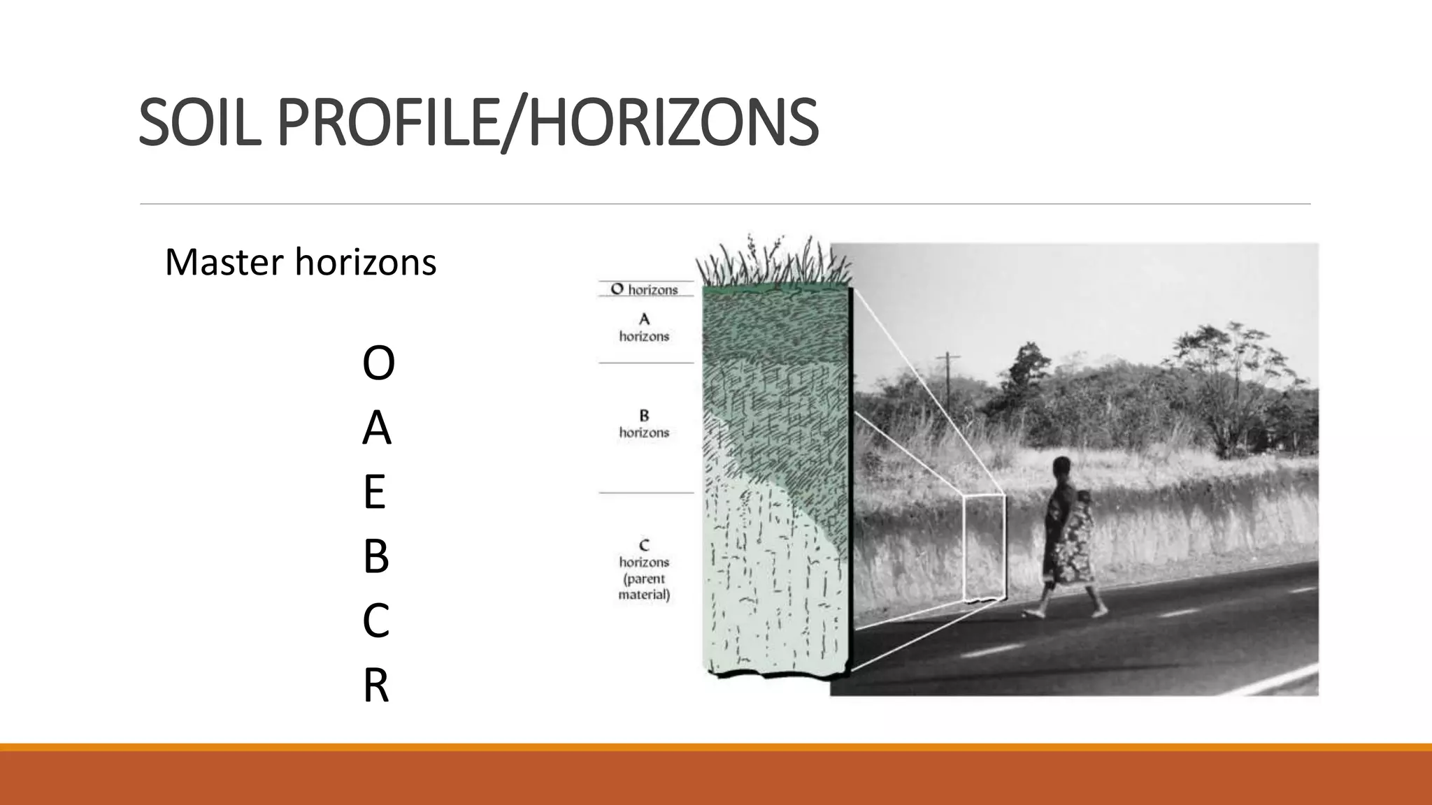 Soil profile & horizonation | PPTX