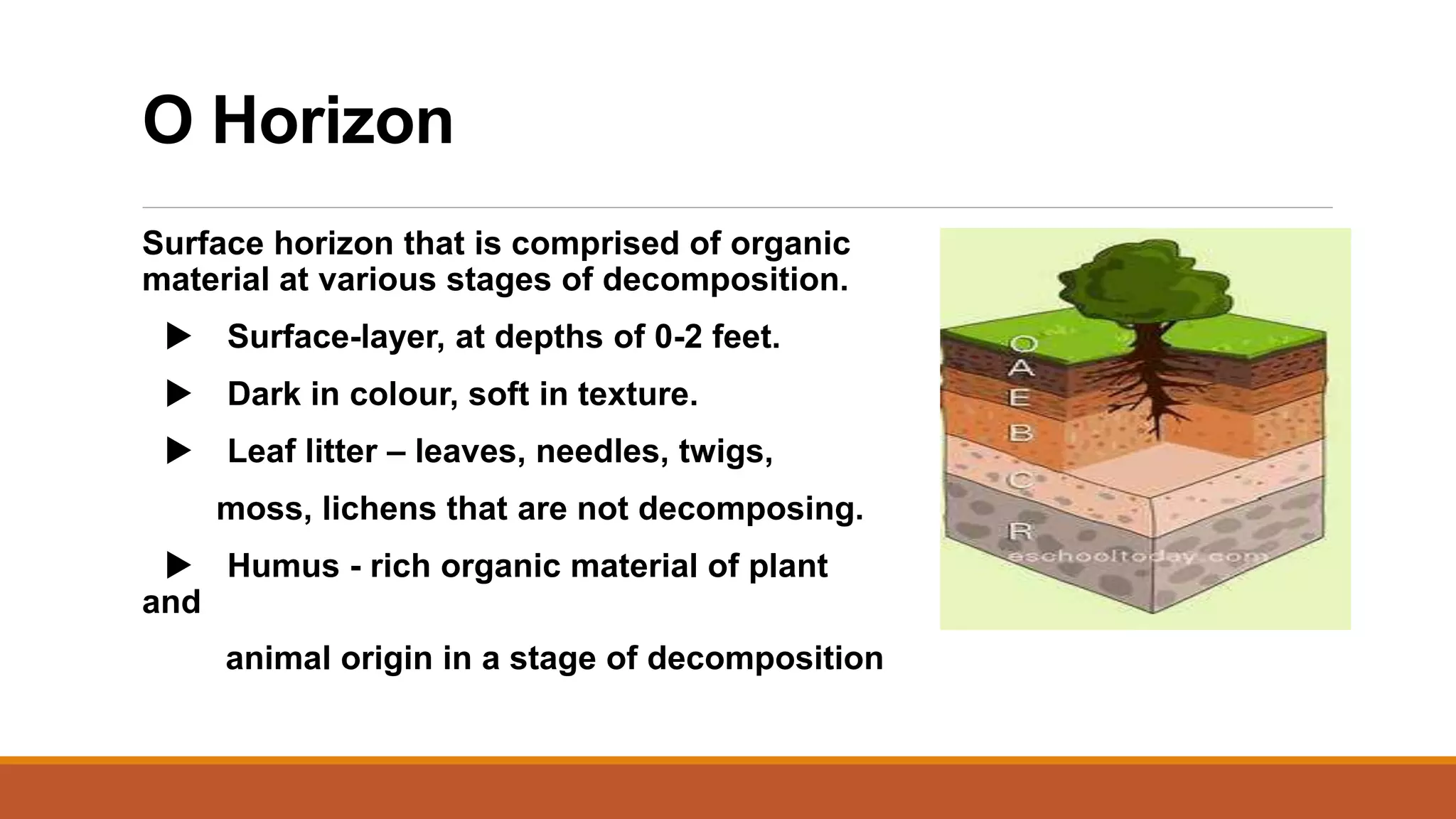 Soil profile & horizonation | PPTX