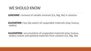 Soil profile & horizonation | PPTX