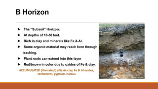 Soil profile & horizonation | PPTX