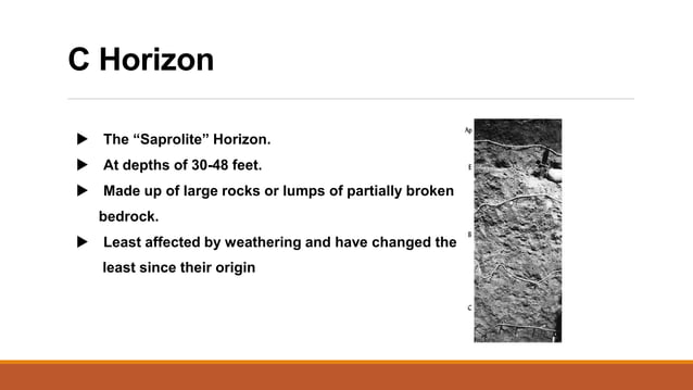 Soil profile & horizonation | PPTX | Geology | Science