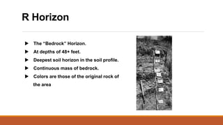 Soil profile & horizonation | PPTX