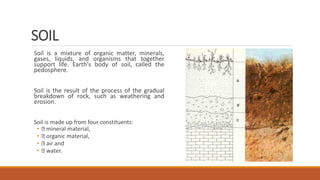 Soil profile & horizonation | PPTX